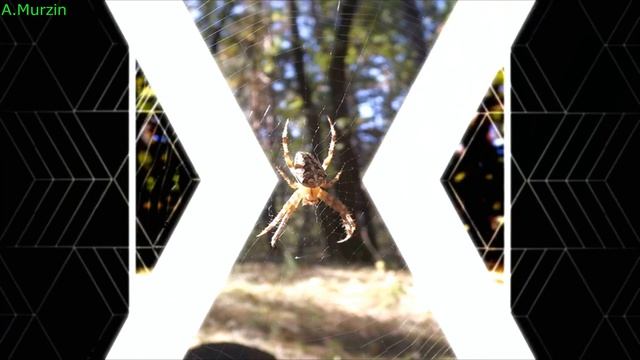 Astral Electronic - Gravity part 3