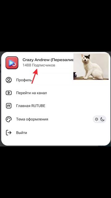Мои благодарности к вам, зайчики мои☺️