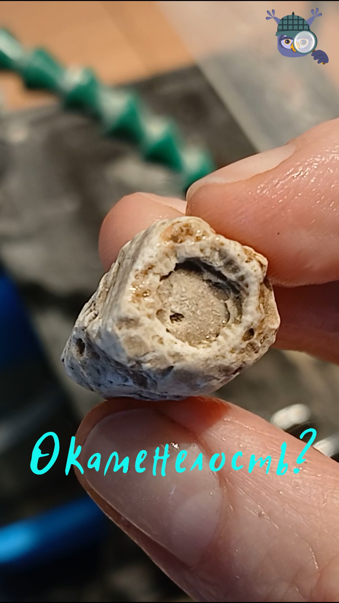 Что это? Окаменелость?