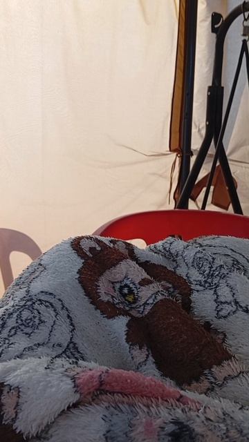 В деревне