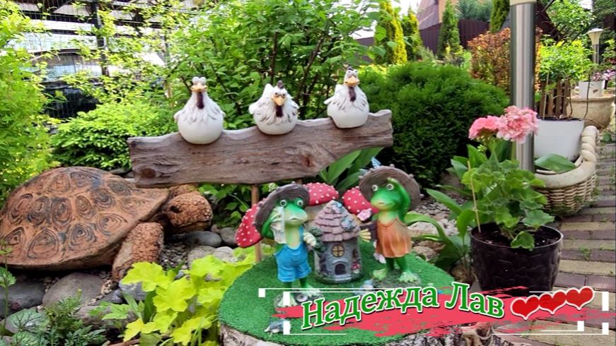 Май в саду и огороде: красота в деталях: актинидия,ясколка,жимолость» 🌿✨