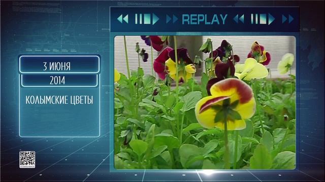 Replay 3 июня 2026