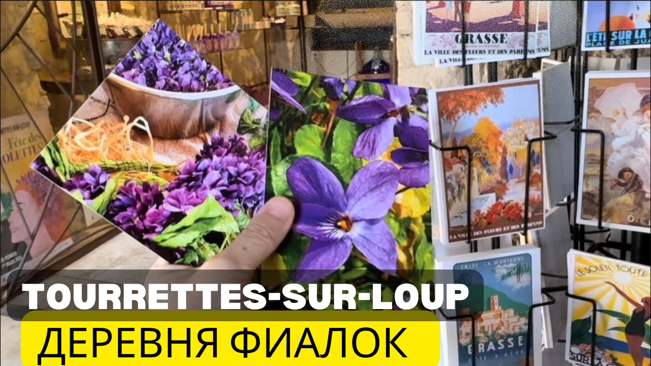 Деревня Франции, где  культ фиалок