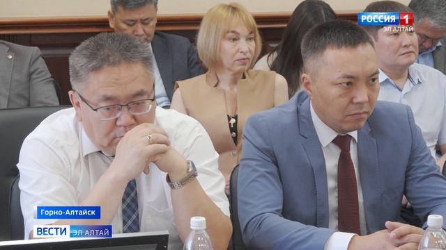 Помощь онкобольным, дефицит педкадров и предотвращение ДТП с животными