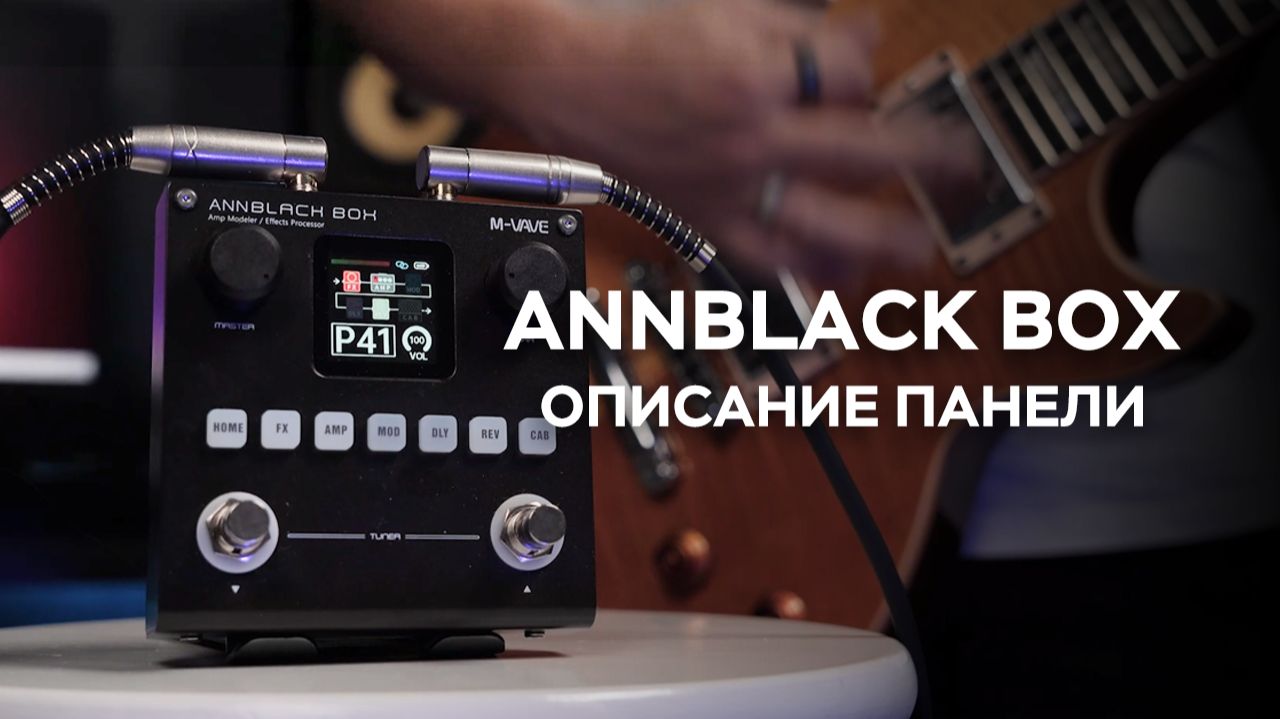 Описание панели ANN BLACKBOX
