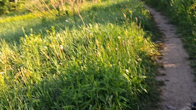 06.06.26#Часть1# загадай желание!#Зеркальная дата#