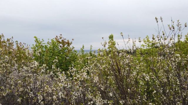 Ульяновск80
