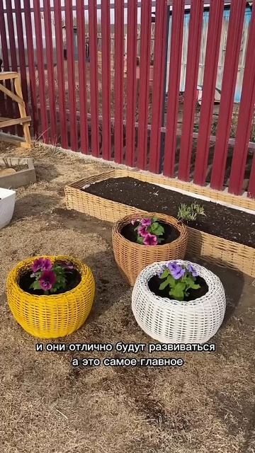 Кокосовые круги в качестве дренажа