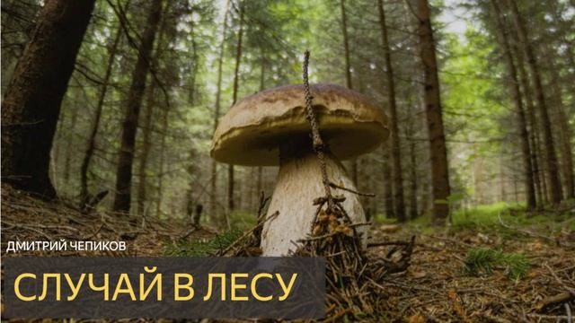 Случай в лесу (Дмитрий Чепиков) рассказ, мистика приключения