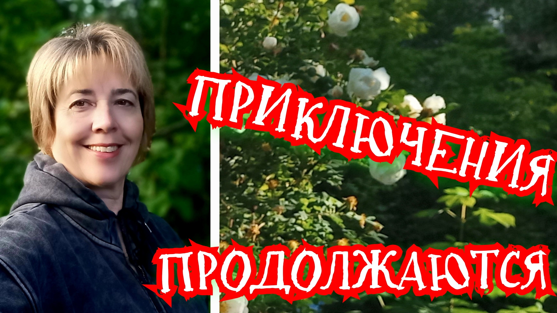 Приключения продолжаются 02.06.2026