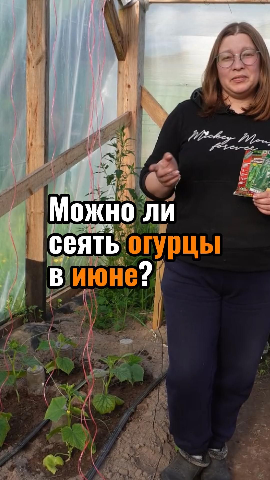 Можно ли сеять огурцы в грунт в июне? Мой честный ответ