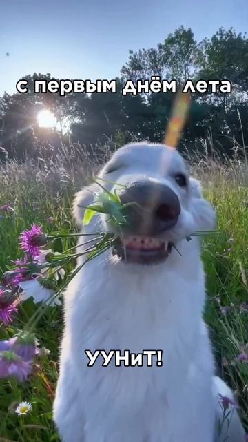 Наконец-то лето! ☀️