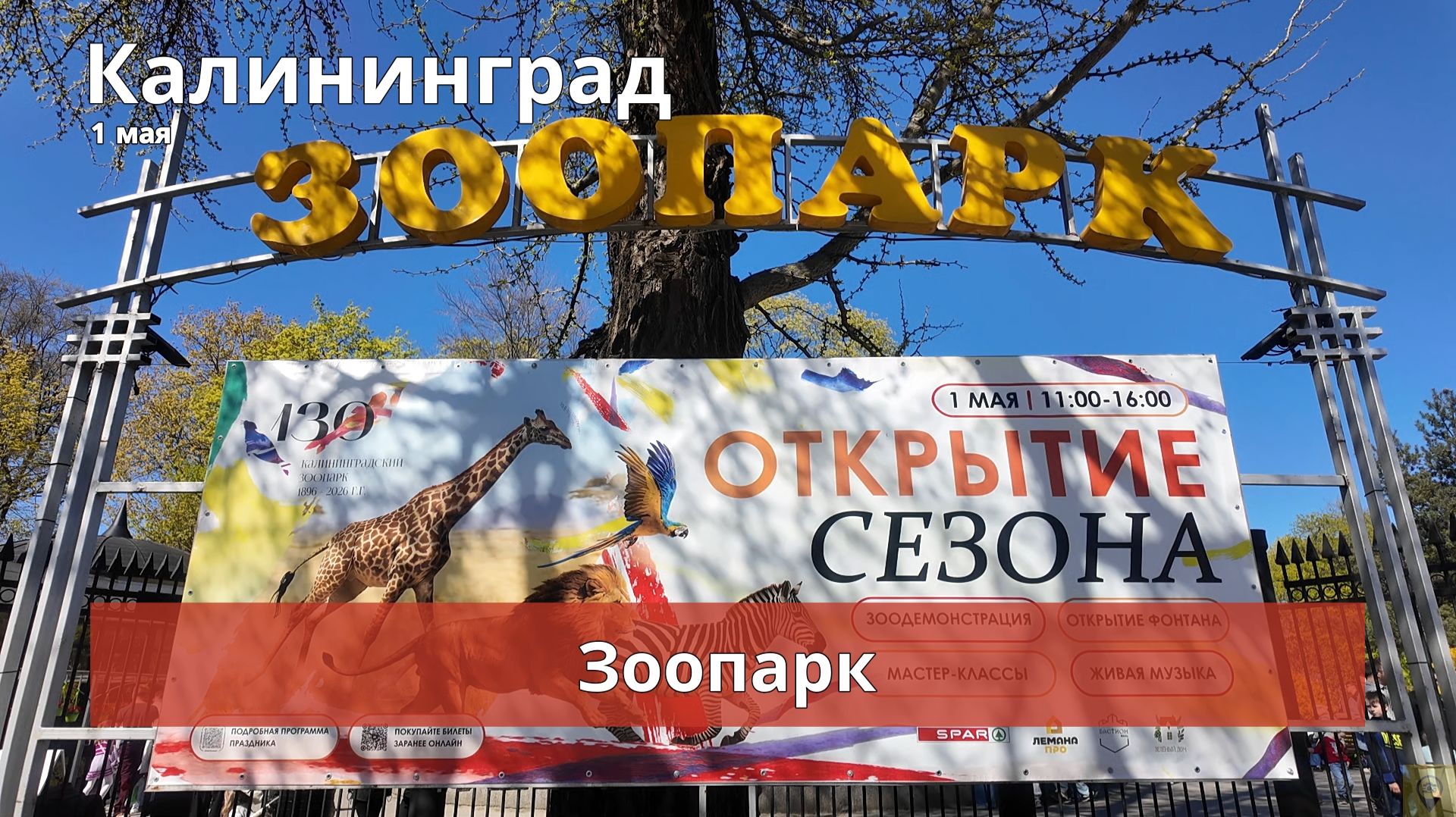 Майские в Калининграде. 1 мая. Зоопарк.