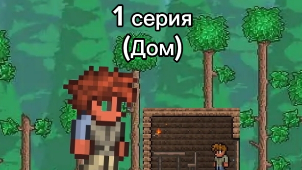 1 серия (Дом) Террария