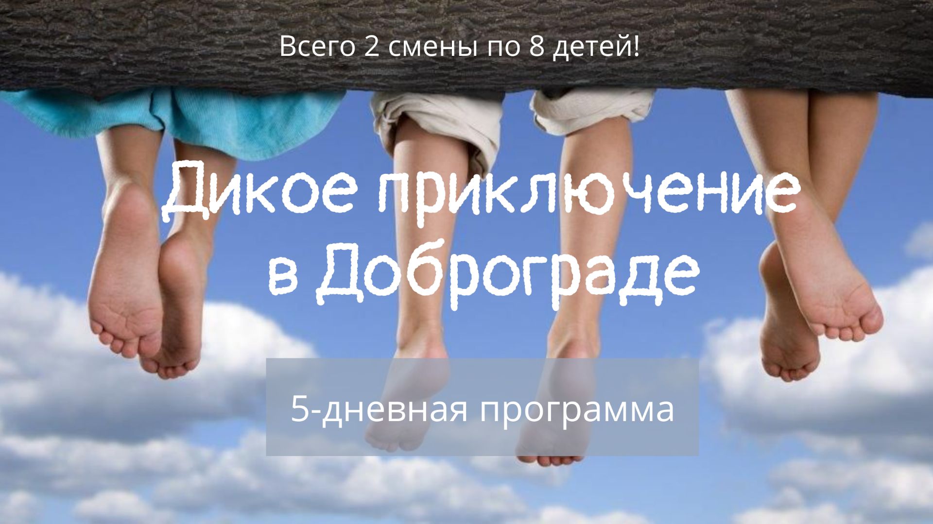 "Дикое приключение" 5-дневная программа для детей в Доброграде