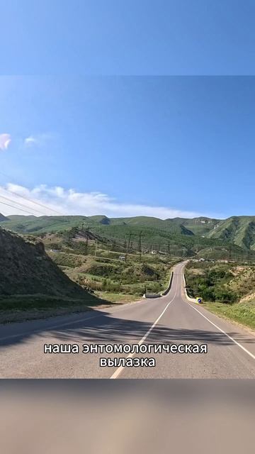 Часть 1 (Энтомологические вылазки: Дагестан)