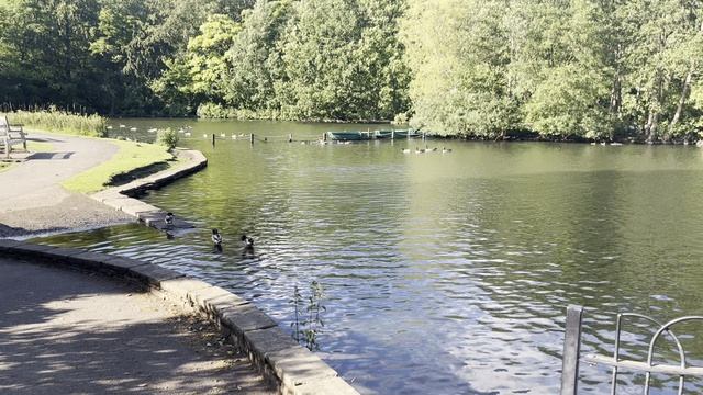 Shibden Park - Wilderness ans Lake (Mare)