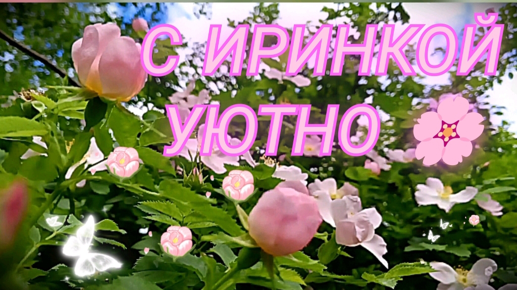 #семейныйвлог Жизнь пенсионерки__Вкусно! Уютно и тепло! Троица 🌿День Святого Духа 🌿