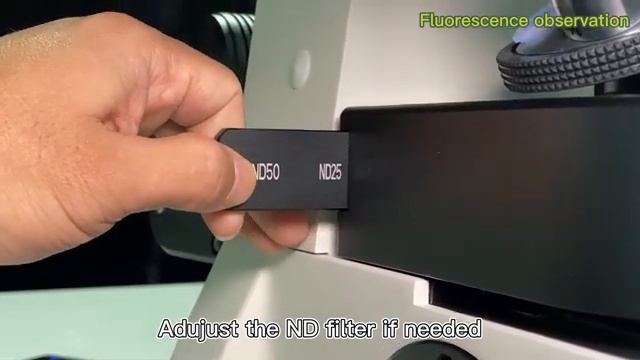 Демонстрация моторизованного инвертированного флуоресцентного микроскопа MF53-N XYZ