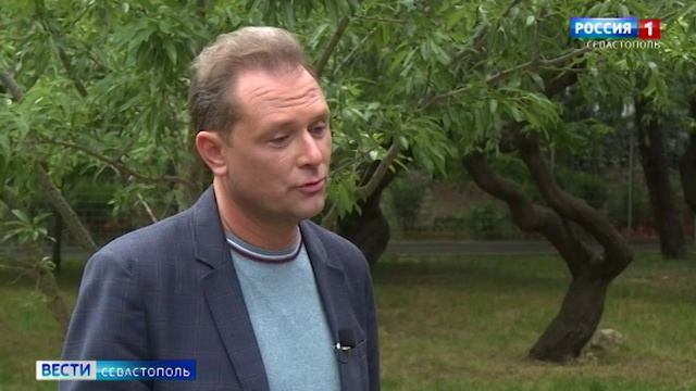 Врач из Севастополя объяснил влияние регулярного бега на здоровье человека