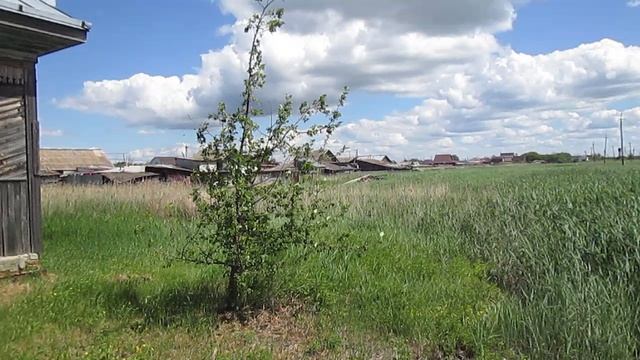 Дом у дороги  деревенская жизнь