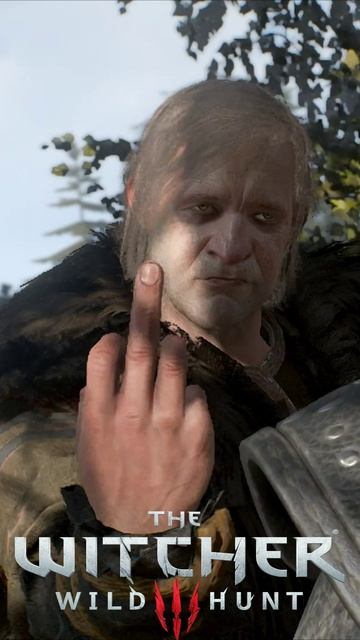 ОБЪЯСНИЛ НА ПАЛЬЦАХ. Шоковая терапия. The Witcher 3 - Wild Hunt
