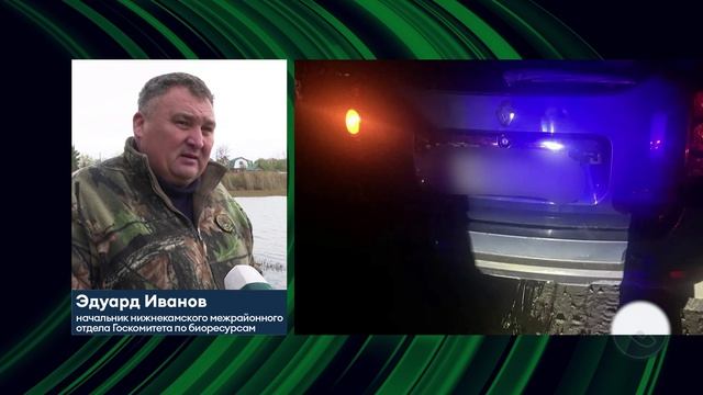 Нижнекамцам рассказали, как избежать ДТП с животными
