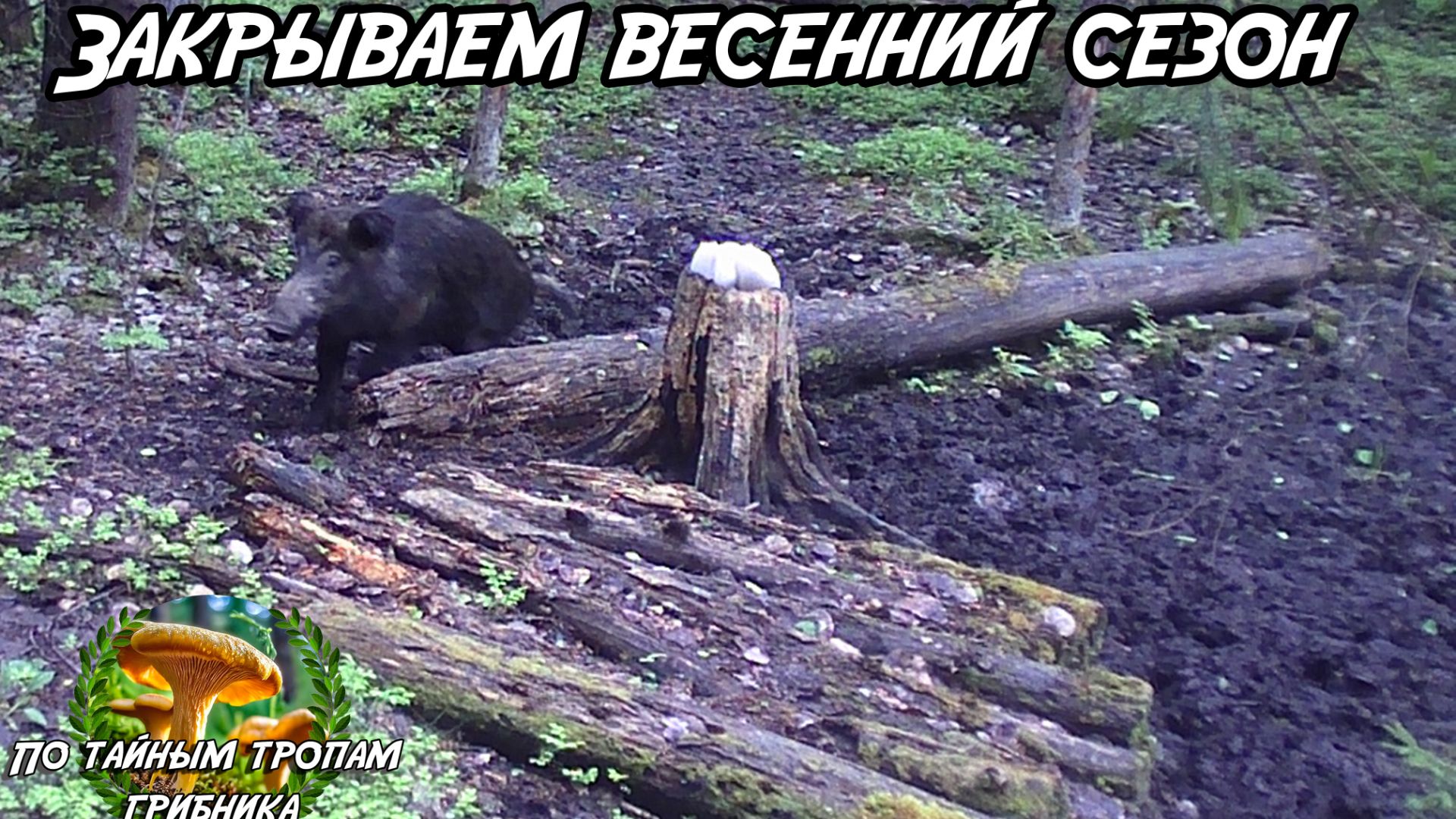 Закрываем весенний сезон