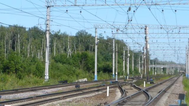 Стук колес для крепкого сна: 1 час железнодорожного переезда и рельсы уходящие вдаль