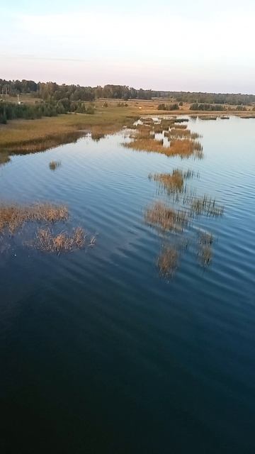 Паря над родиной