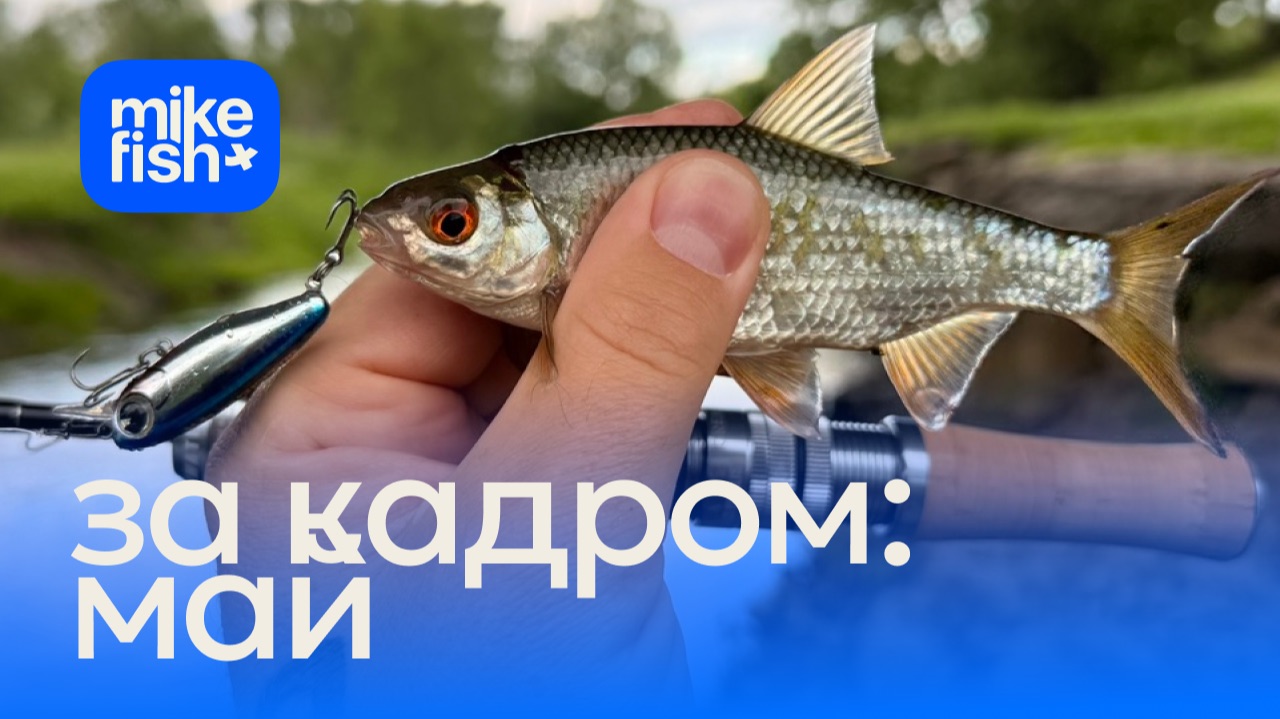 За кадром: рыбалки в мае 2026