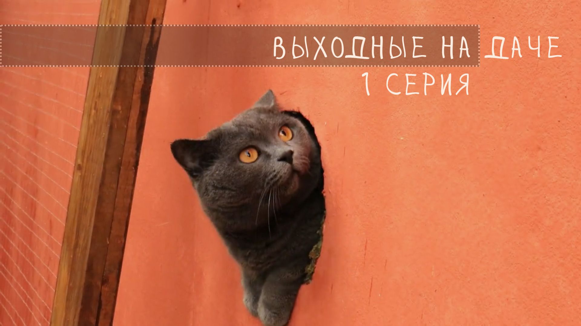 выходные на ДАЧЕ 1серия АРХИВ 2025года