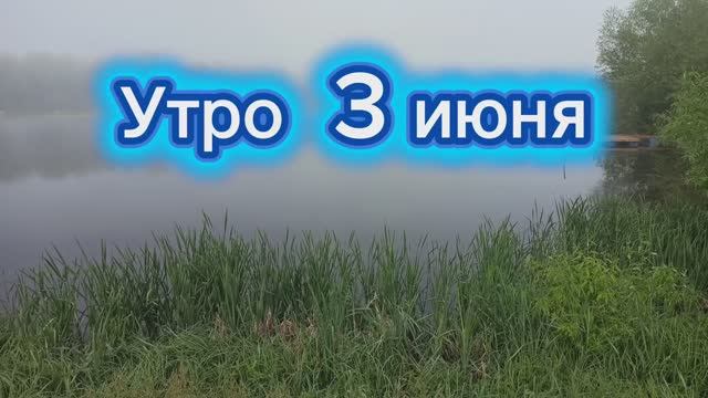 Туманное утро 3 июня