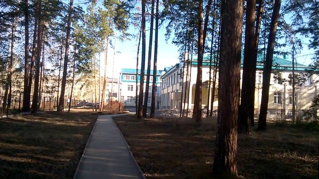 2026-05-06 В Энергетике, дорожка от остановки до ИДЦ, Братск, Сибирь, Россия