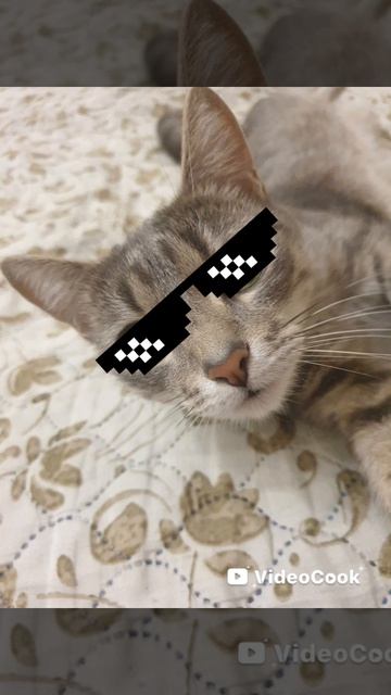 ЭТО ВАМ ОТ АСИ