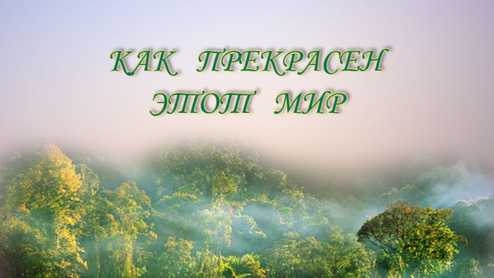 Как ПРЕКРАСЕН этот МИР