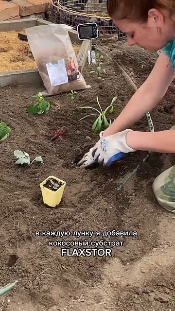Кокосовый субстрат при суглинке