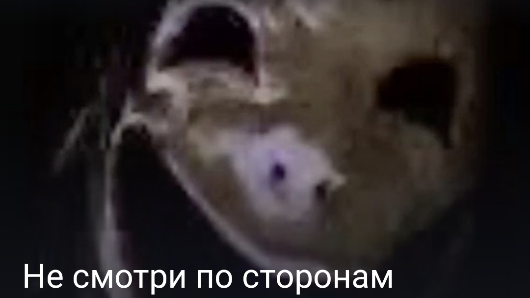 Не смотри по сторонам часть первая конец