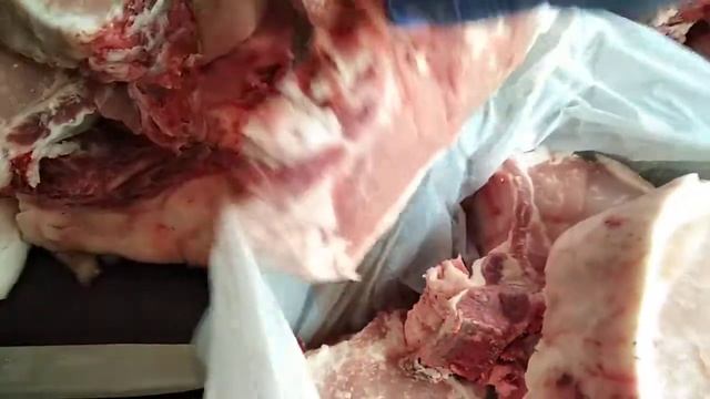 Объёмная закупка и обзор сала и мяса свинины
