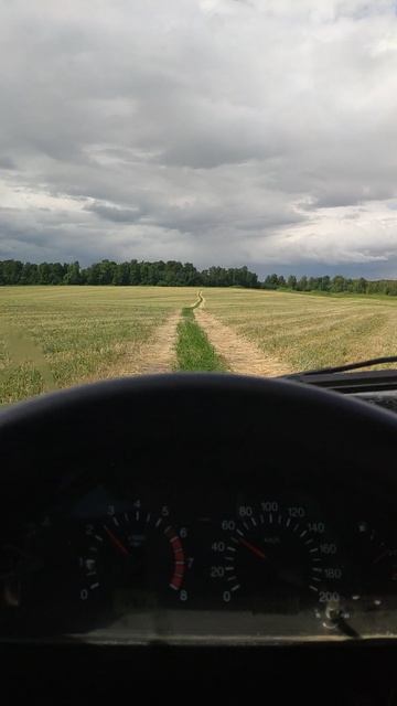 Классная полевая дорожка. Мчим на Ниве.