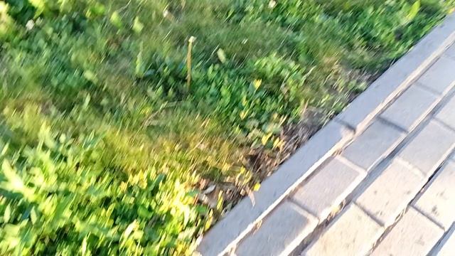 Гуляем с Тата в теме, обсуждаем хэйтеров с каналов Ольга Бравенькая и Ольга уралочка, Мама Отличник
