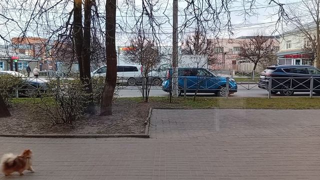 Симфония №440|Ирина Одарчук Паули