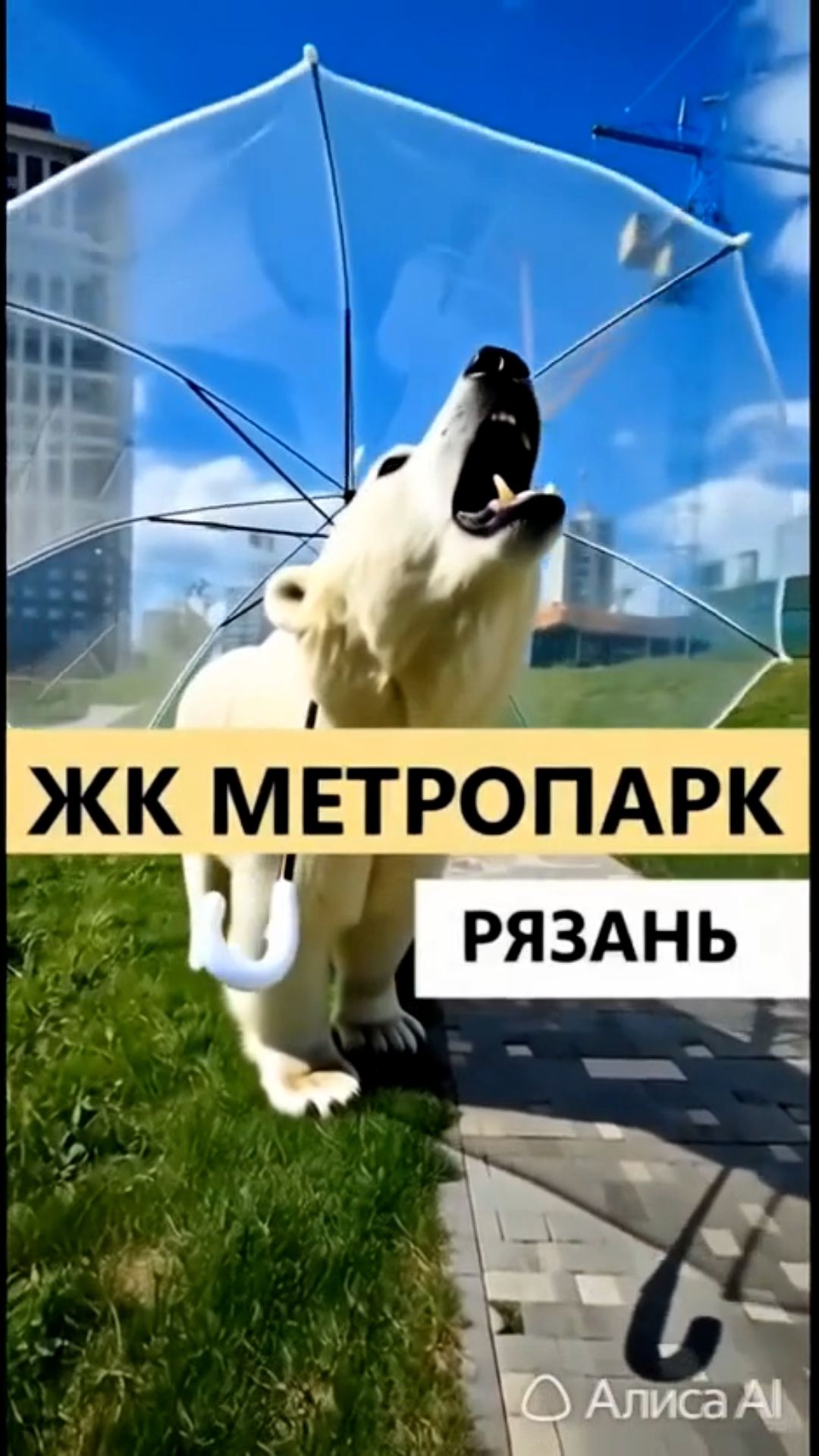 ЖК Метропарк Рязань медведь, река, набережная.