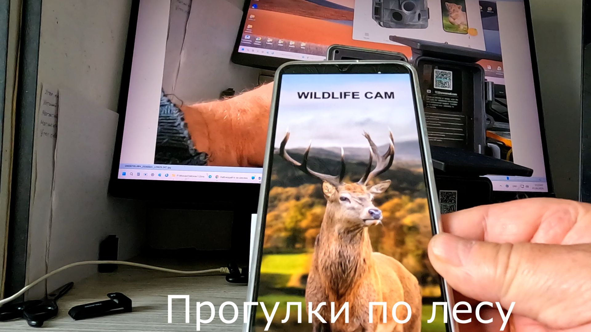 Мобильное приложение для фотоловушки ТС-22. Тестовые фото и видео