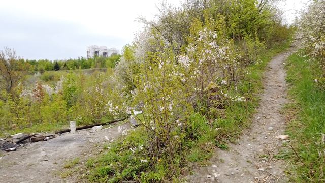 Ульяновск81