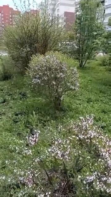 ☀️ День, который пахнет летом!    🤗💐
