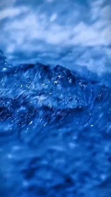 1000089231.mp4