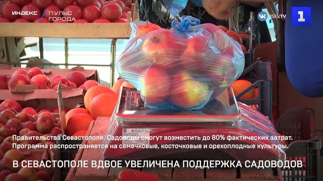 В Севастополе вдвое увеличена поддержка садоводов