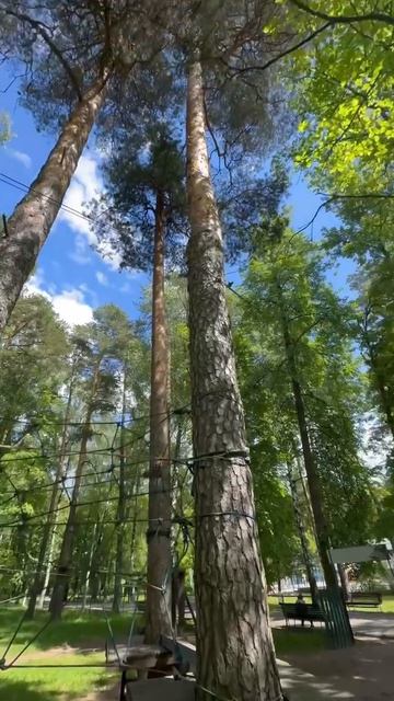 Прохожу испытания в верёвочном парке