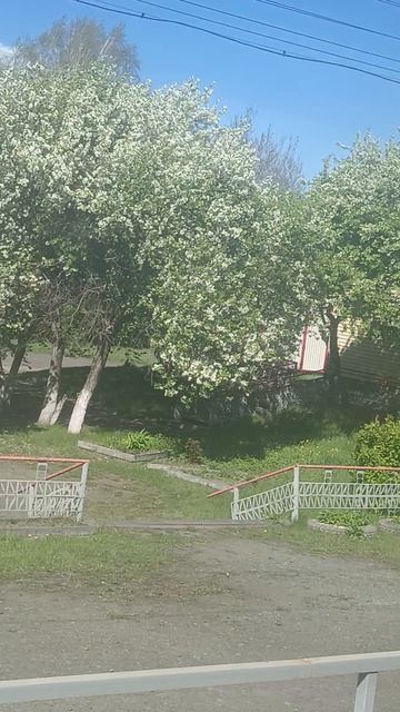 Лето